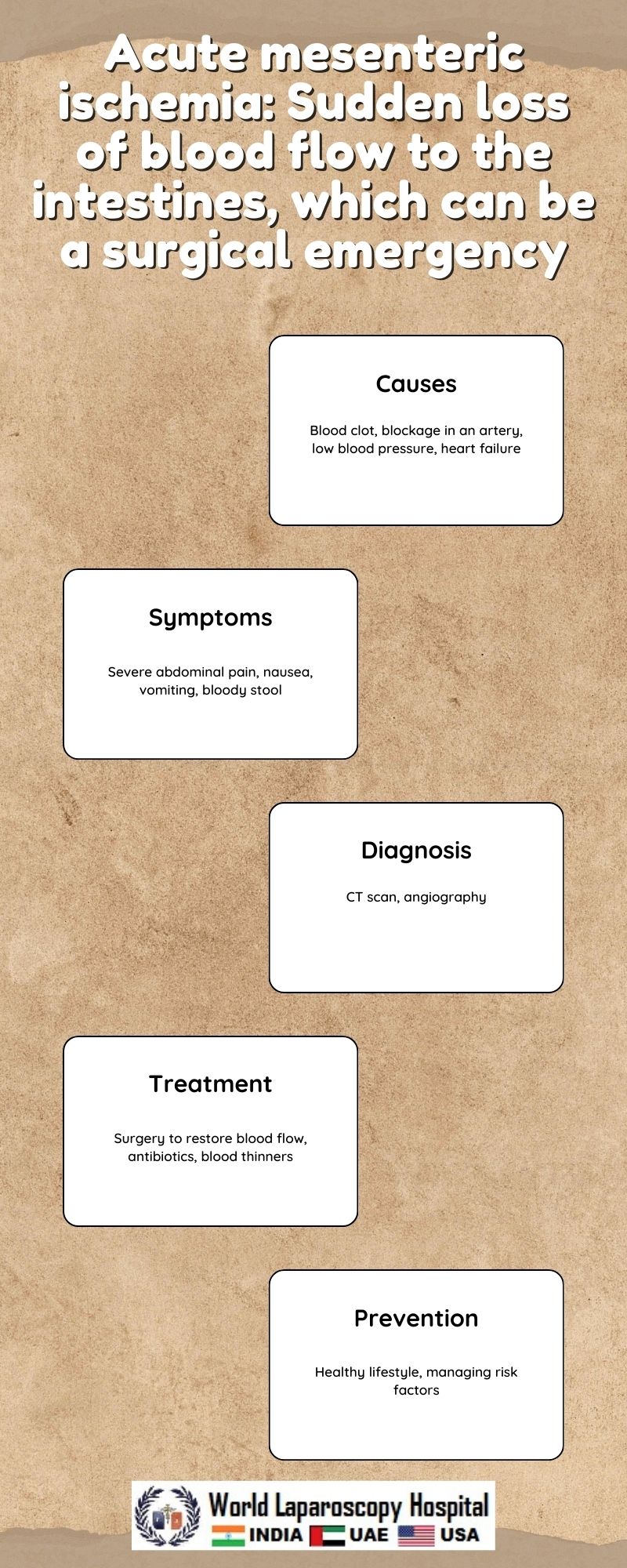 Acute mesenteric ischemia: Sudden loss of blood flow to the intestines ...